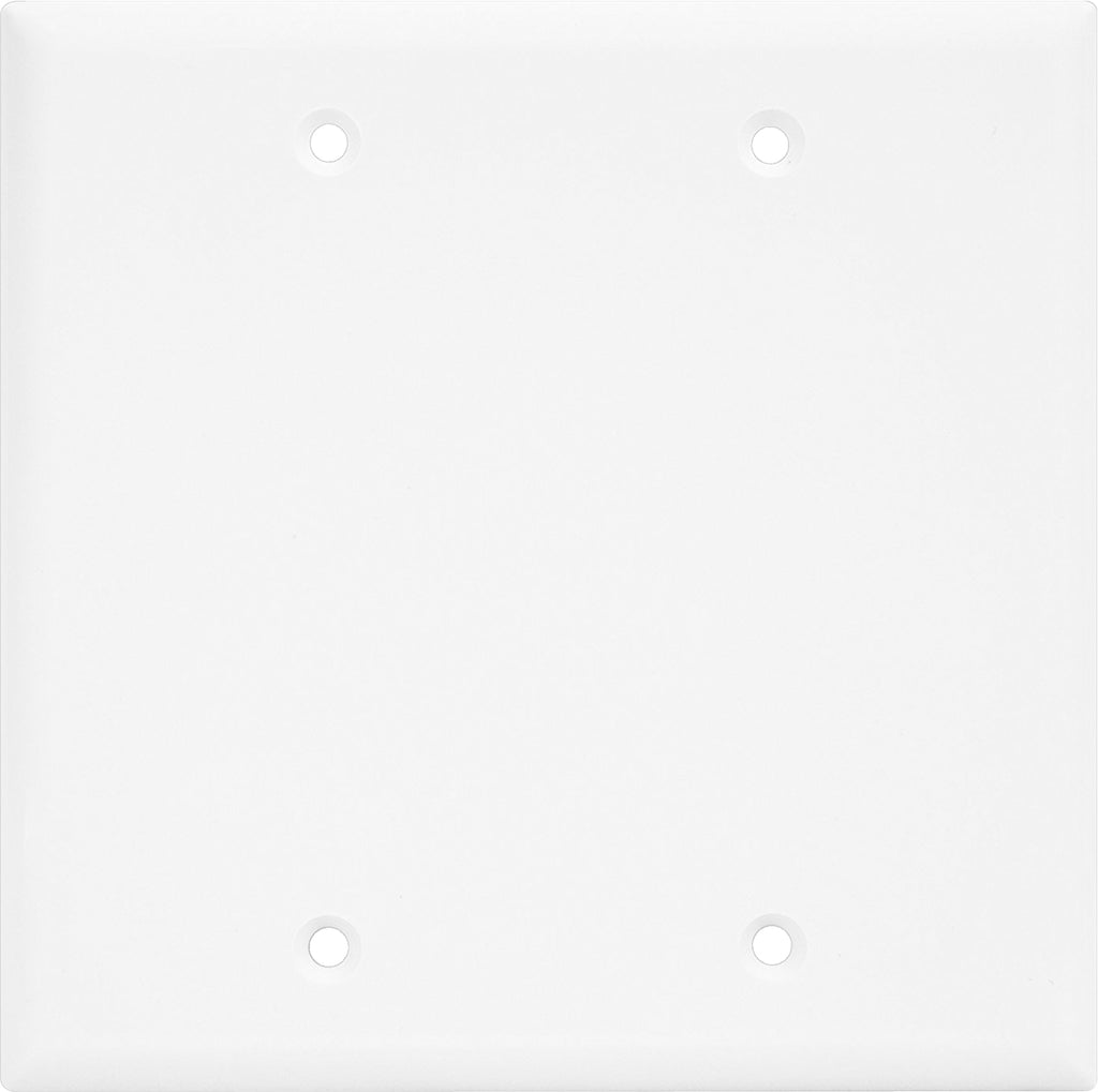 07-6085-02 2-Gang Blank Face Plate – AA Electronics